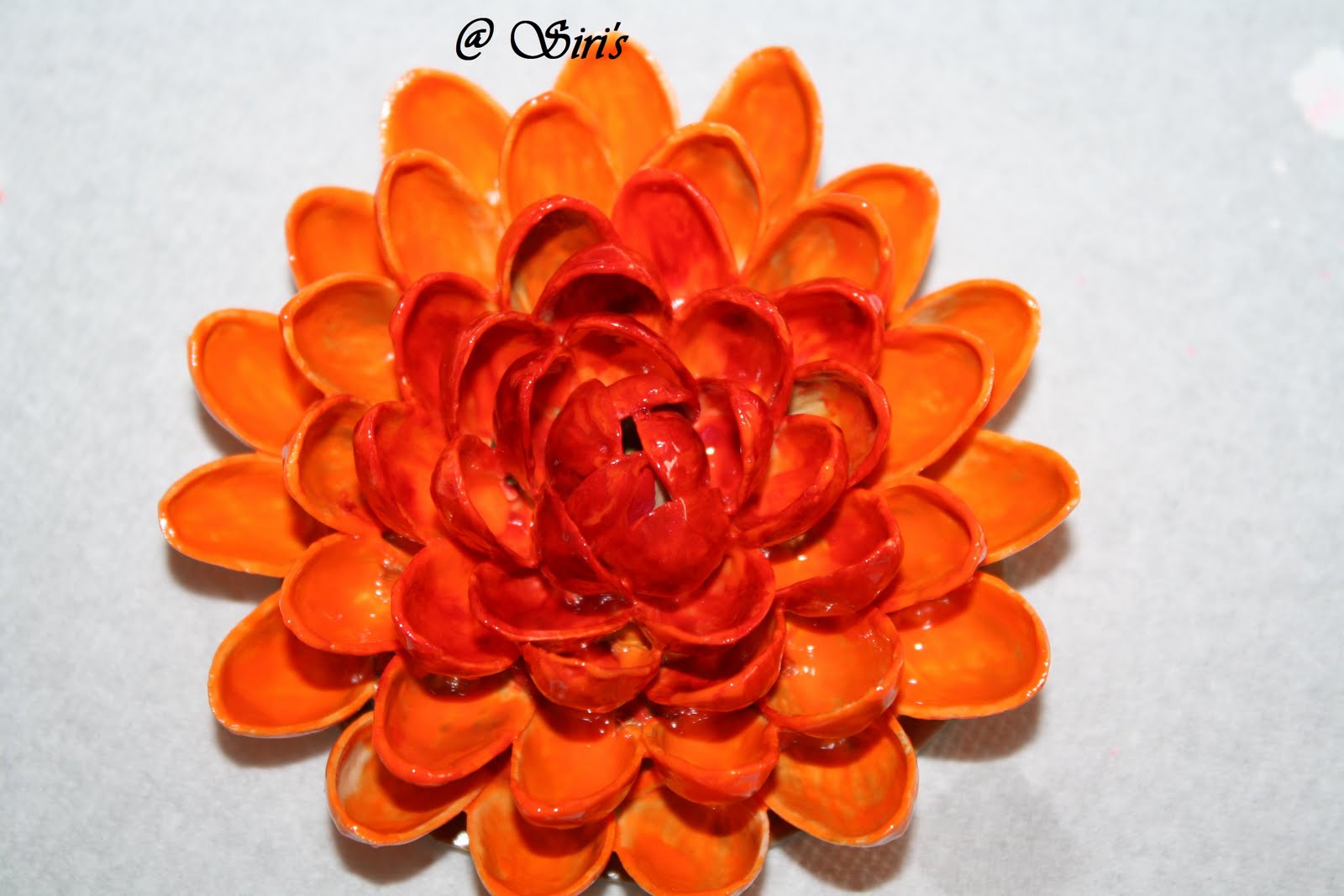 Siri's Kitchen: Pista Shell Flowers