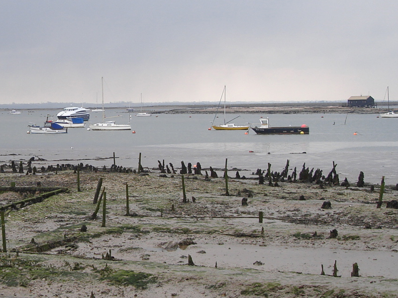 MERSEA WILDLIFE: COLD CONTINUES