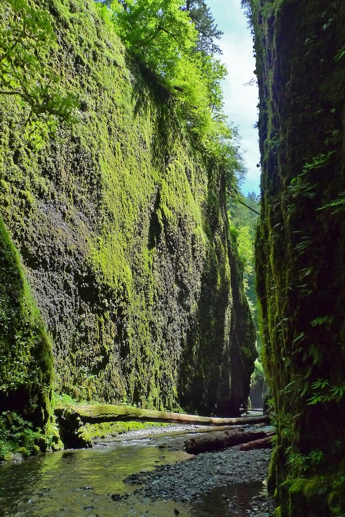 Photos by Quaeréndus: Oneonta Gorge