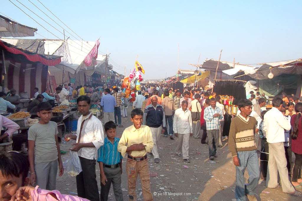 pic18: Tigri ganga mela gajraula -4