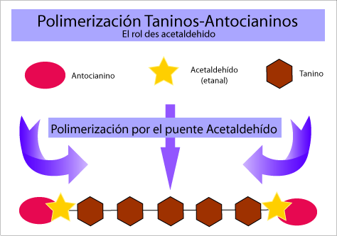 Avibert: Microoxigenación Tecnologías para la Industria Alimentaria Téc ...
