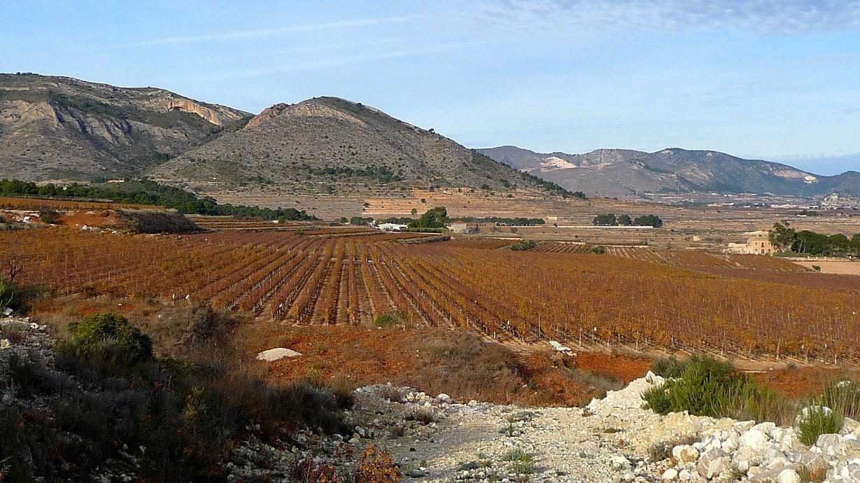 GEOELX: SIERRA DE LA OFRA