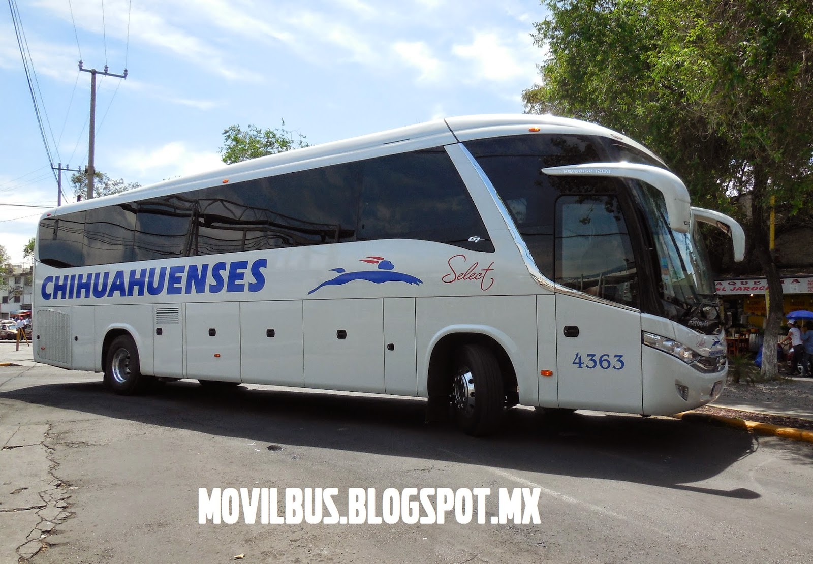 MARCOPOLO PARADISO 1200 G7 CHIHUAHUENSES SELECT.