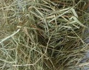 Diferentes tipos de heno ~ Tengo Un Conejo