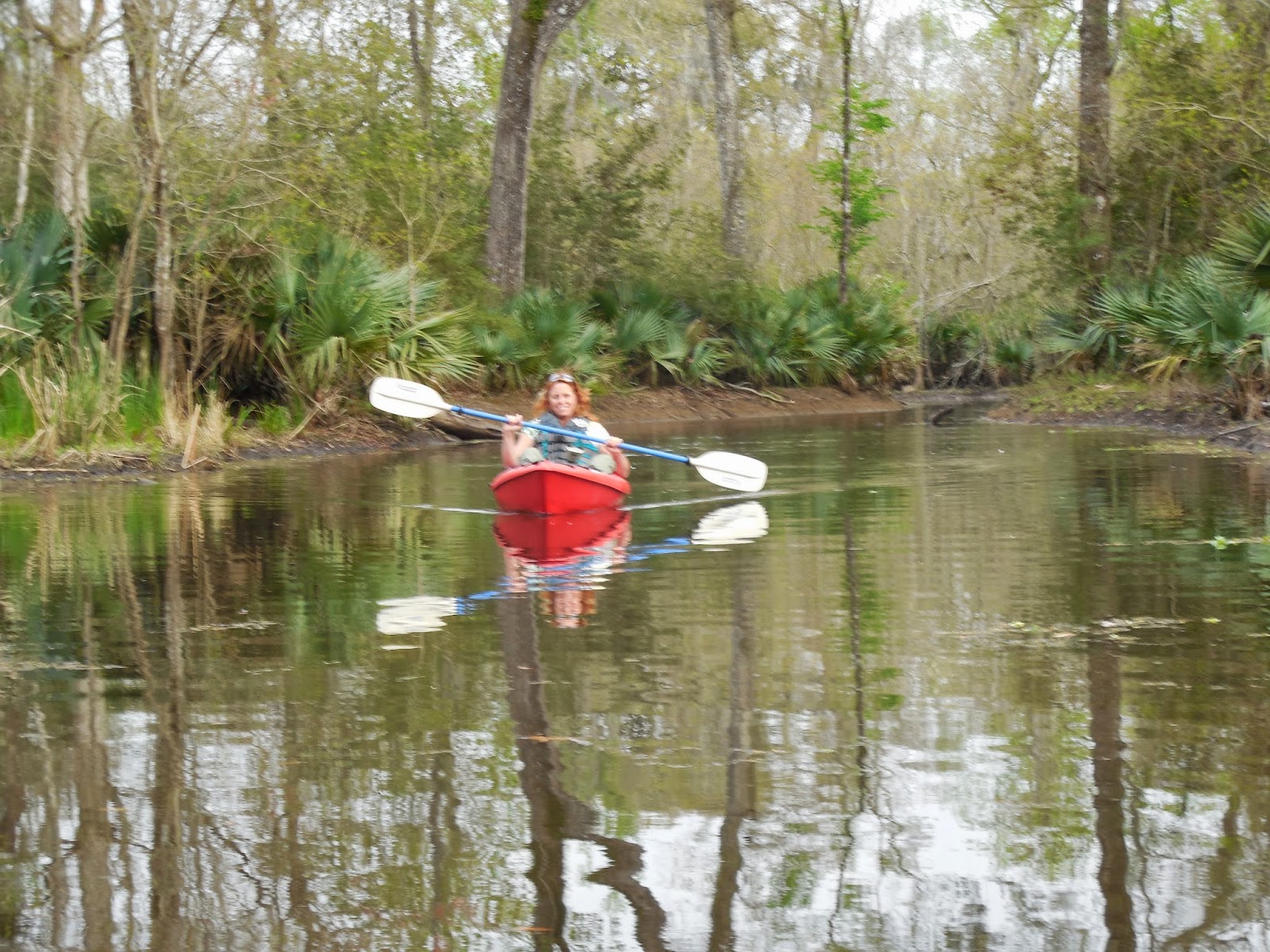 Our 2014 AdVANture...: Kayaking with Alligators