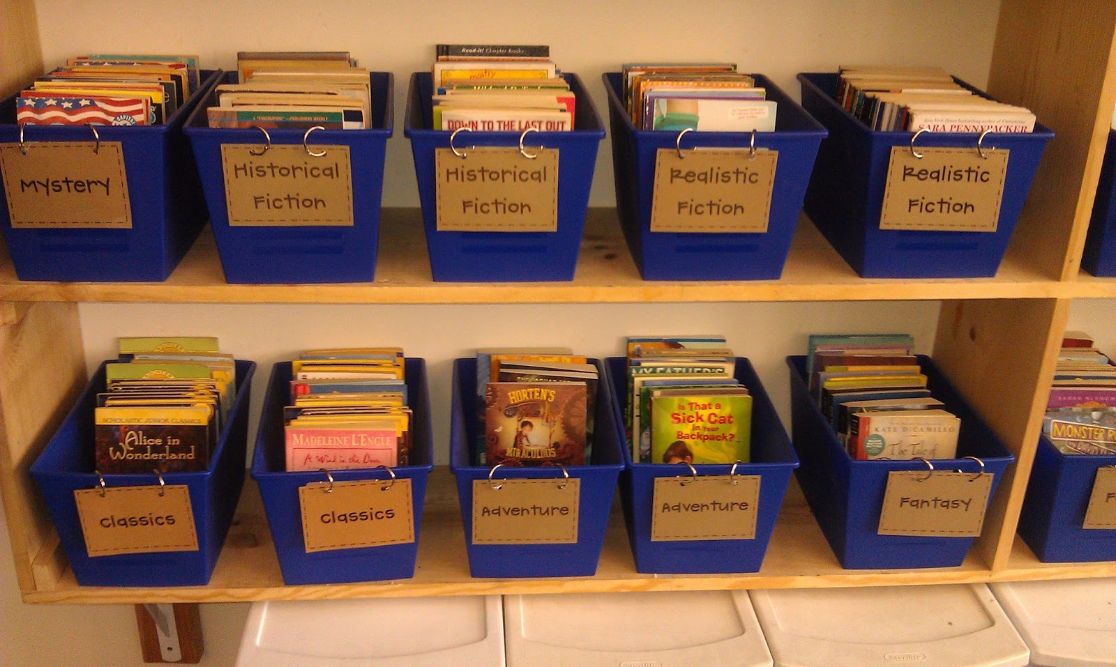 Foreman Teaches: Optimum Organization: Classroom Library