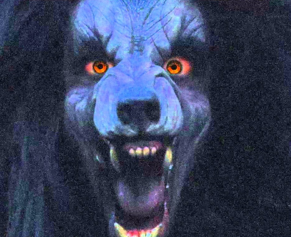 Reviews: Crying Wolf 3D