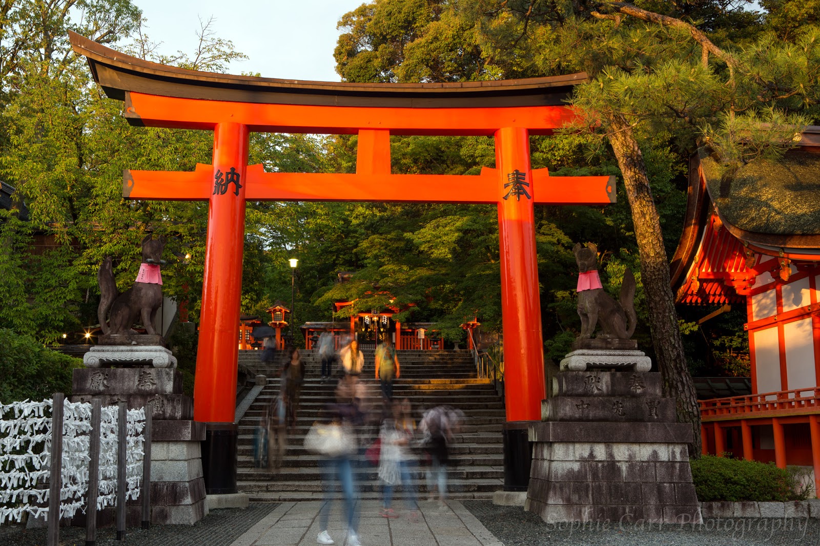 Sophie Carr's Photo Blog: Back to Japan - Day 5: The Wonderful Torii of ...