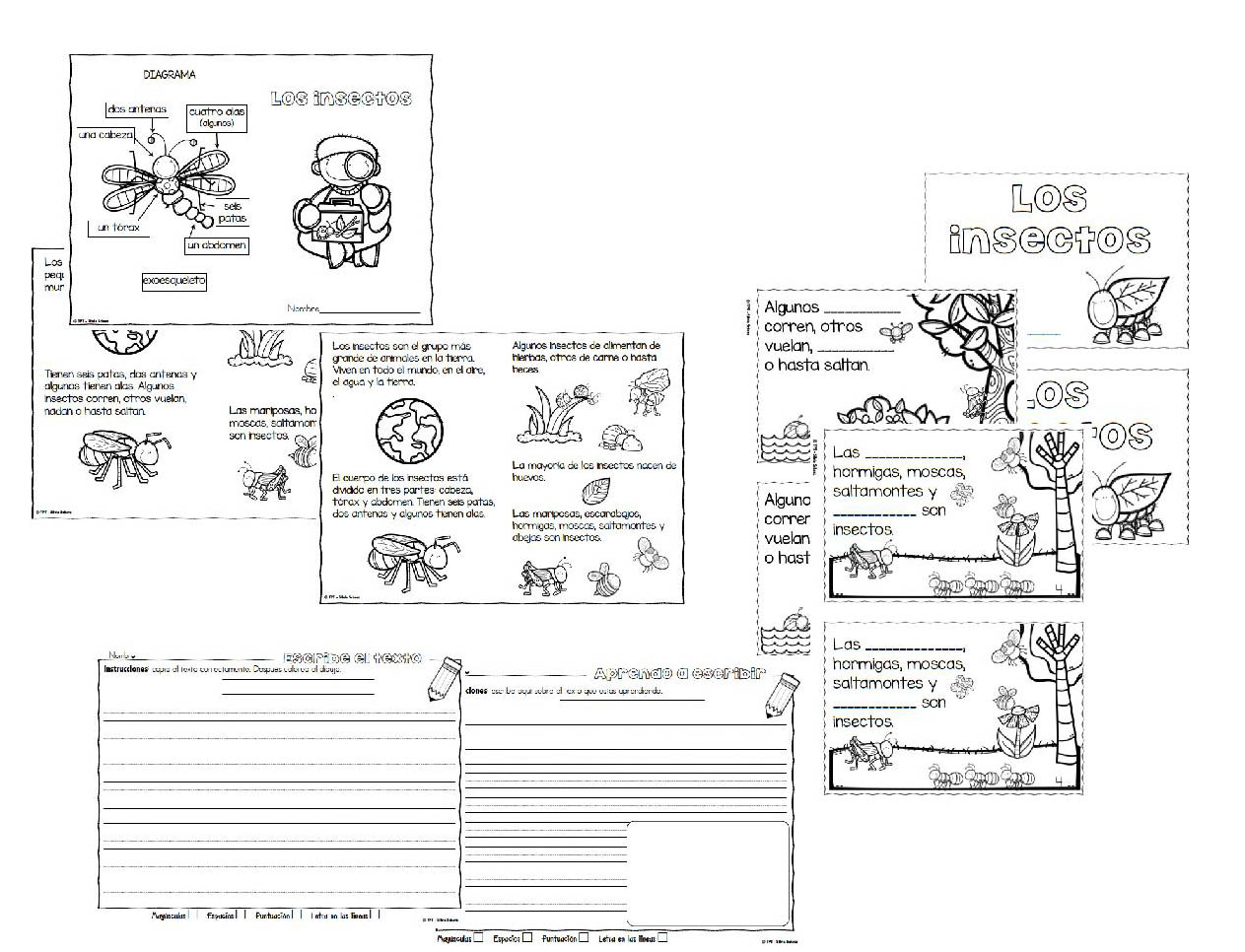 El salón de Silvia Schavz