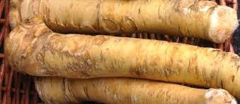 Memento Solonico: RADICI......commestibili