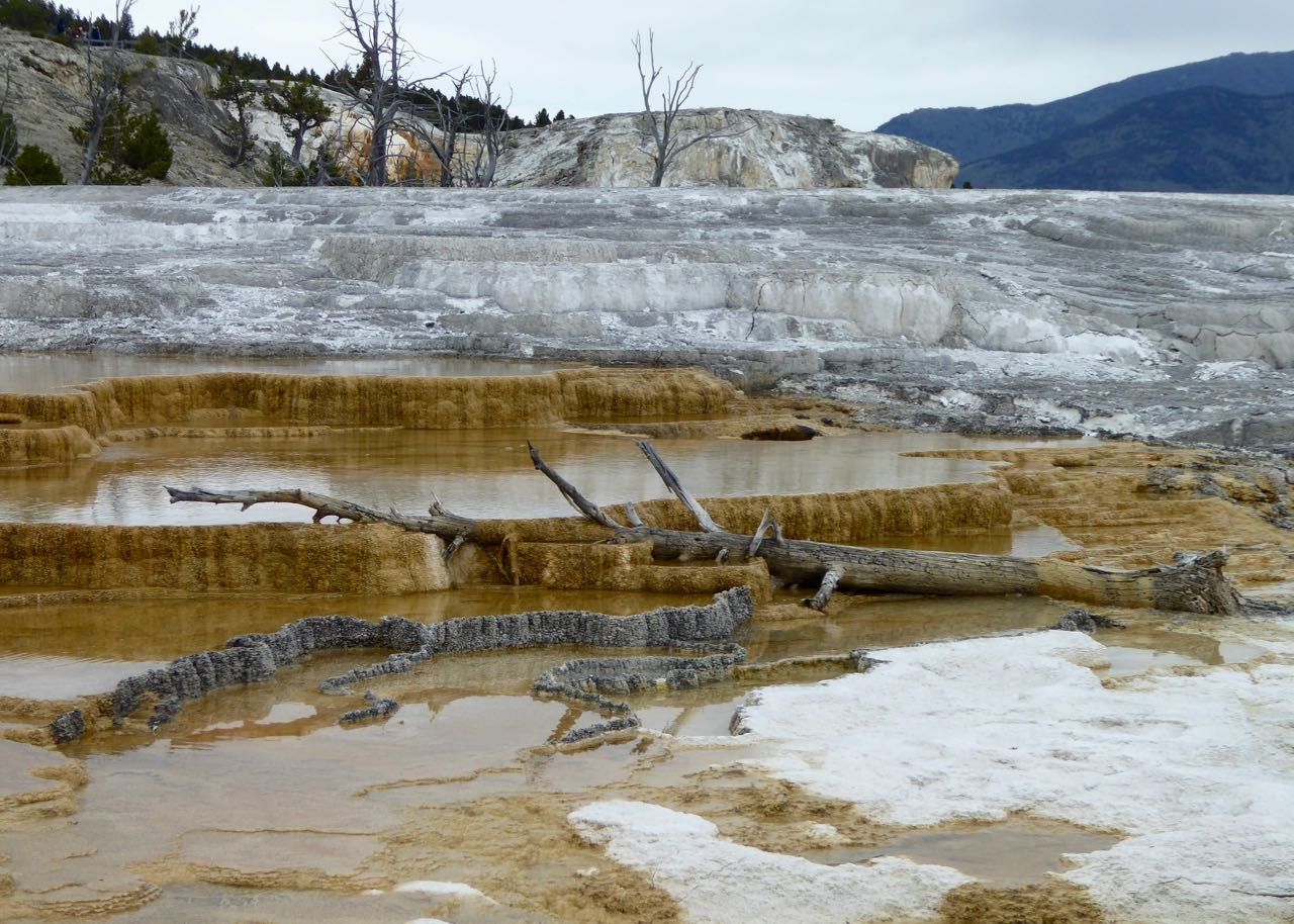 Greg's Running Adventures: Yellowstone National Park