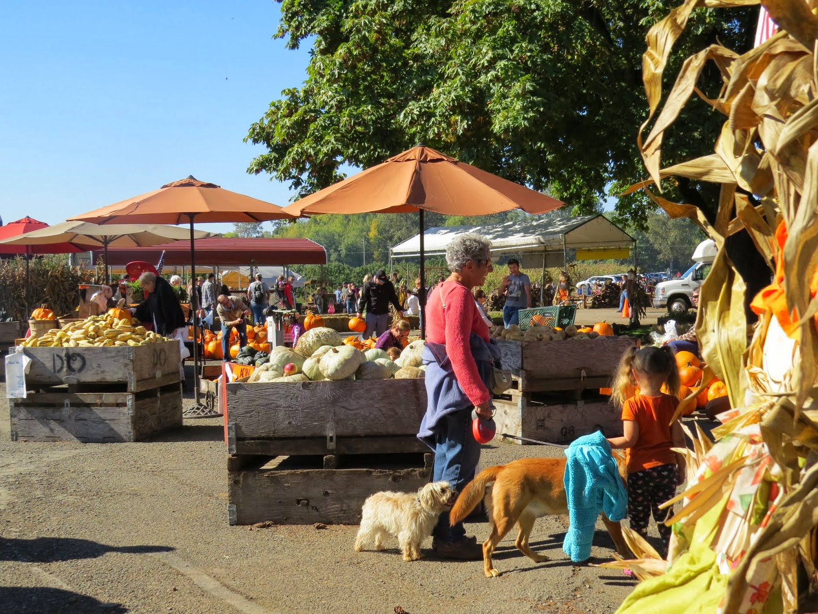 Photos by Jan: A Trip to Detering Orchards; in Harrisburg, Oregon