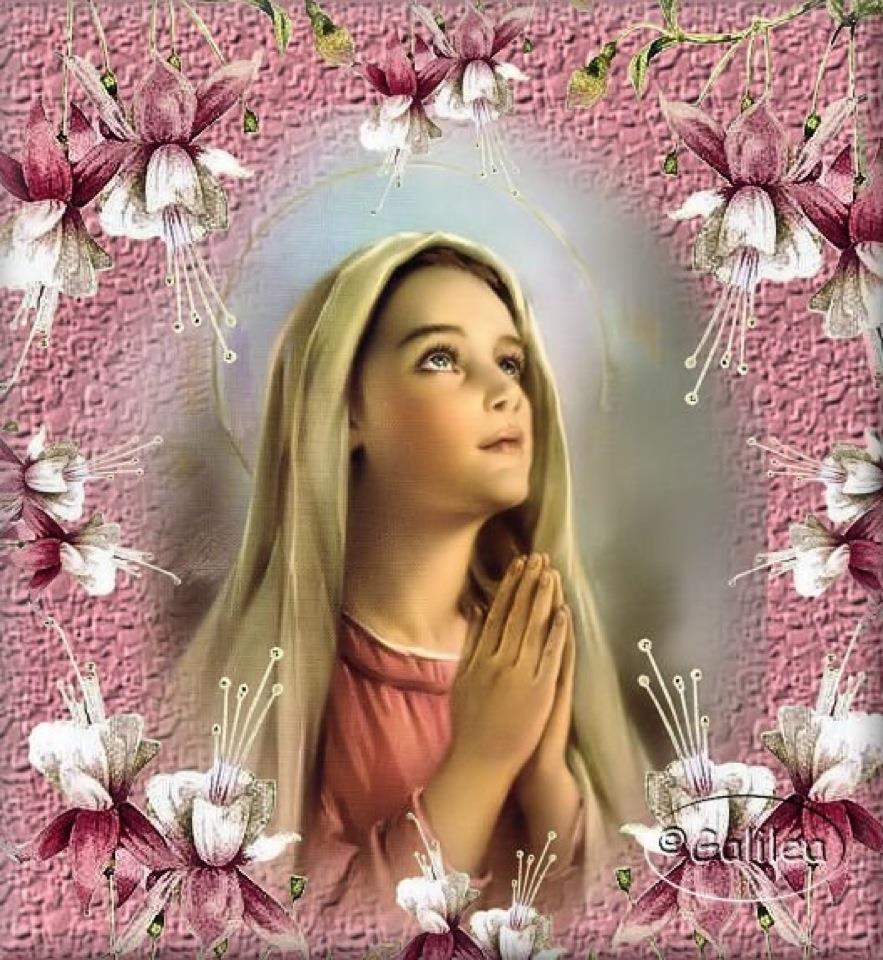 MI RINCON ESPIRITUAL: Flor del 27 de mayo: María Rosa Mística