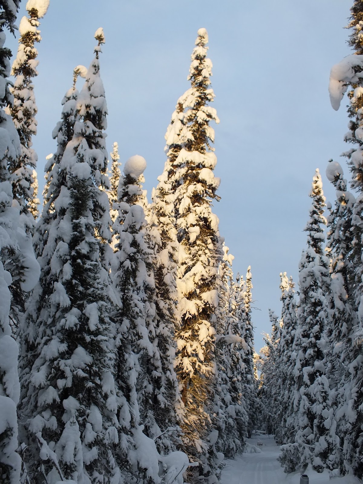 Imajin8: Skiing at UAF