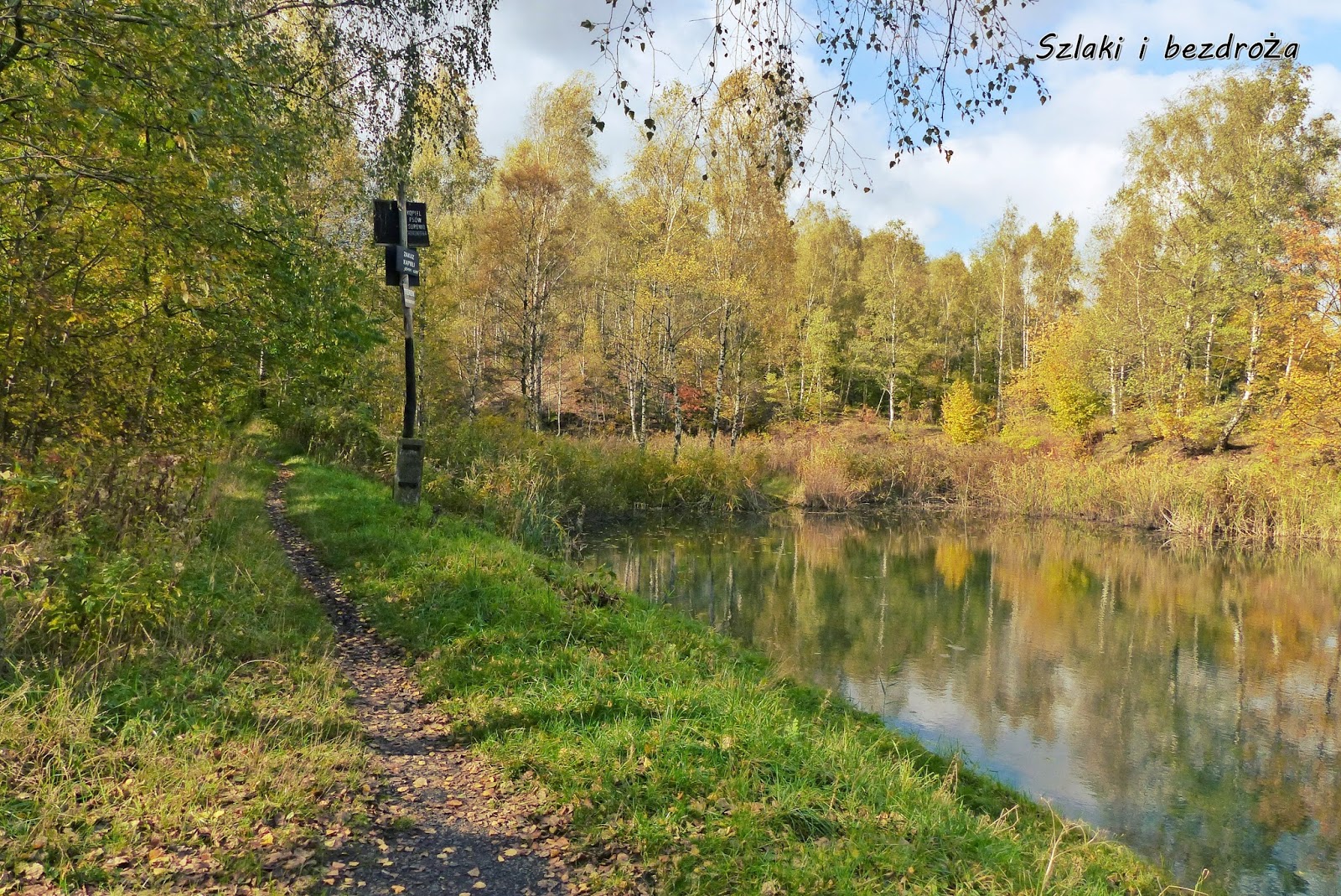 szlaki i bezdroża: Bytom Karb - staw Malek (Maleka)