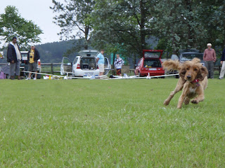 Go Fast...with Reghard Roets