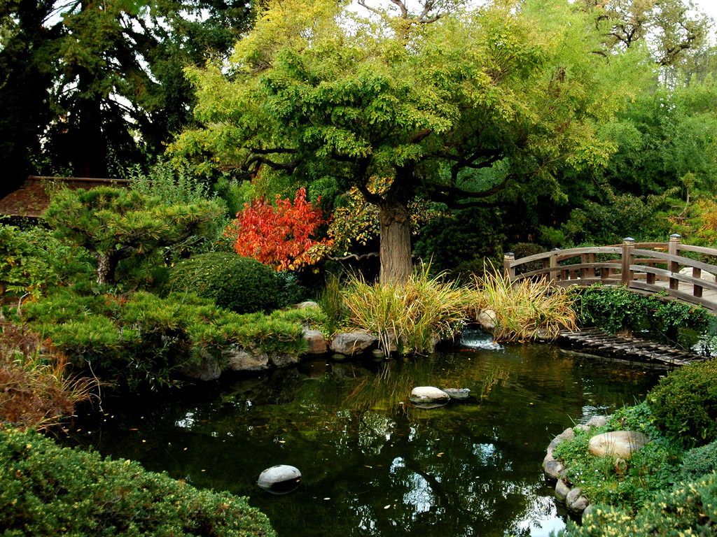 1024 x 768 Best Nature wallpaper - Full HD | Desktop Wallpaper Collection