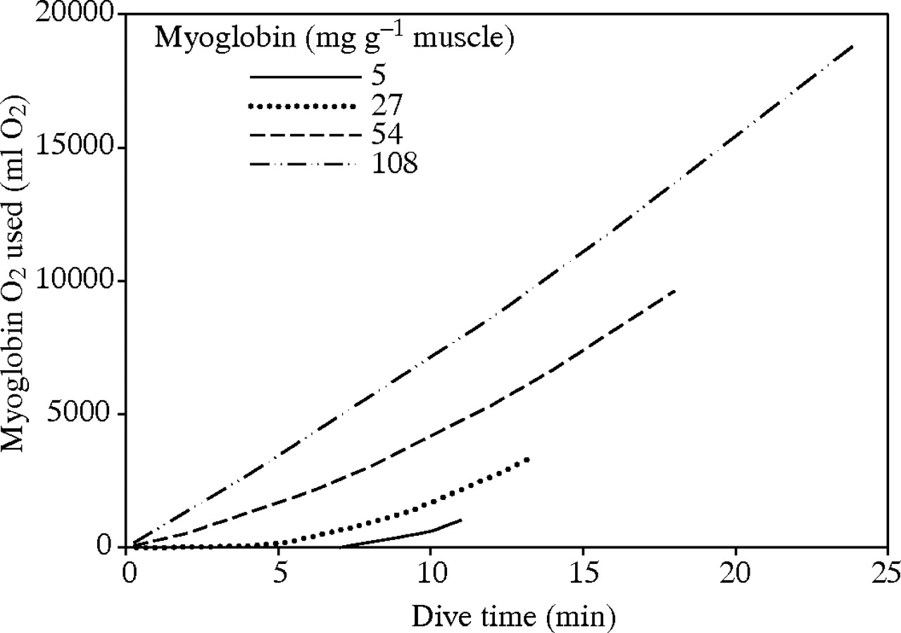 QuestX: Deep Diving Physiology in Dolphins