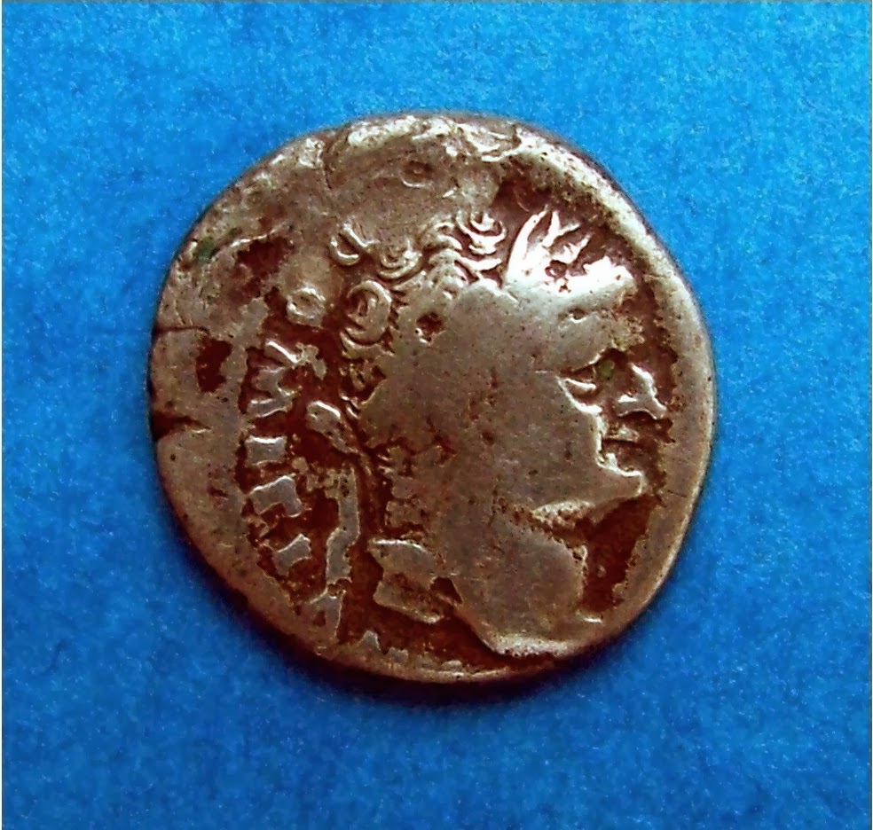 Roman Coins Collected: Domitian