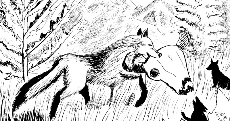 A Voice from the Wood: Father wolf brings a gift