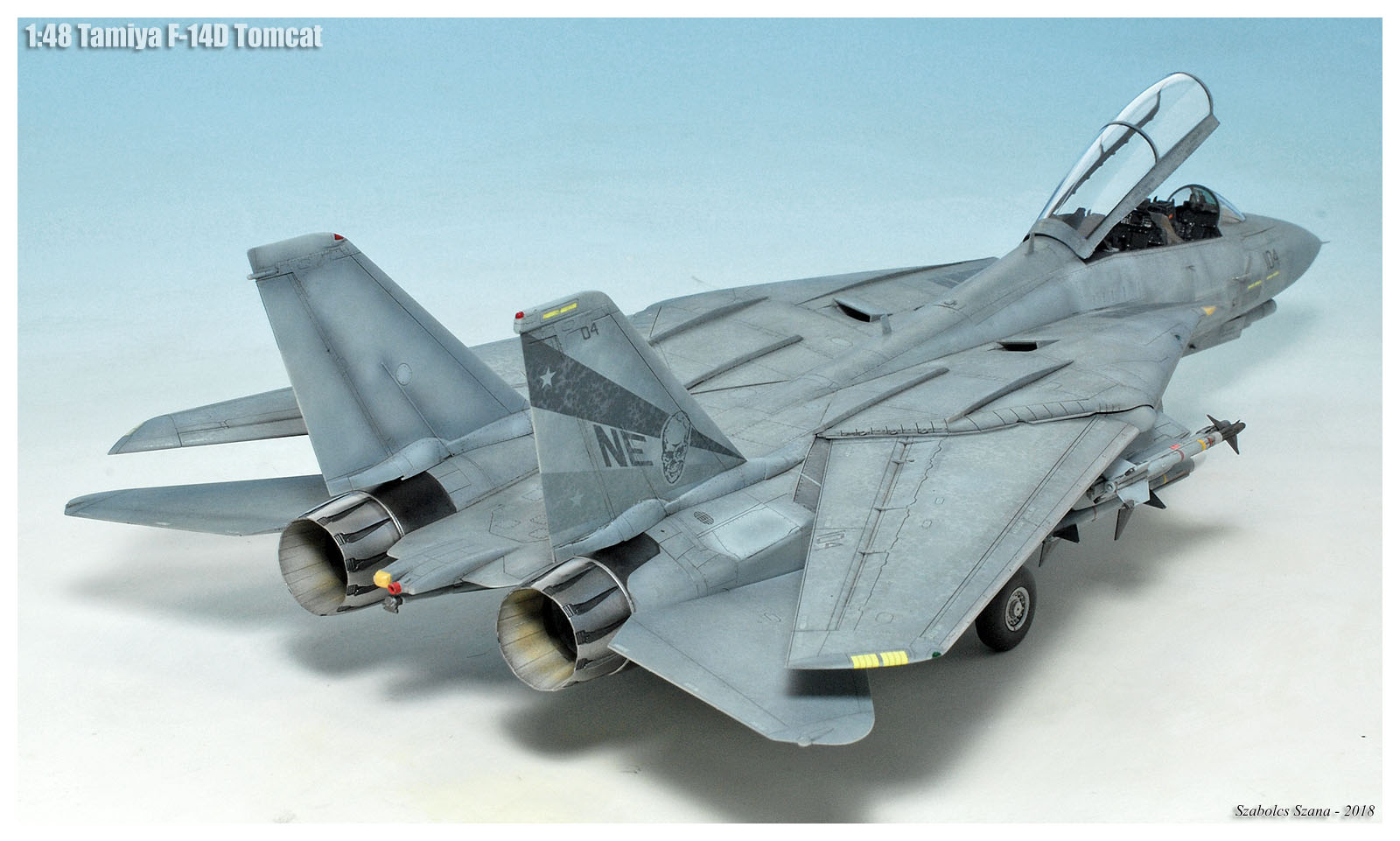 Wings of Glory: 1/48 Tamiya F-14D Tomcat