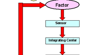 MECO: What Is Negative Feedback Loop of Blood Pressure?