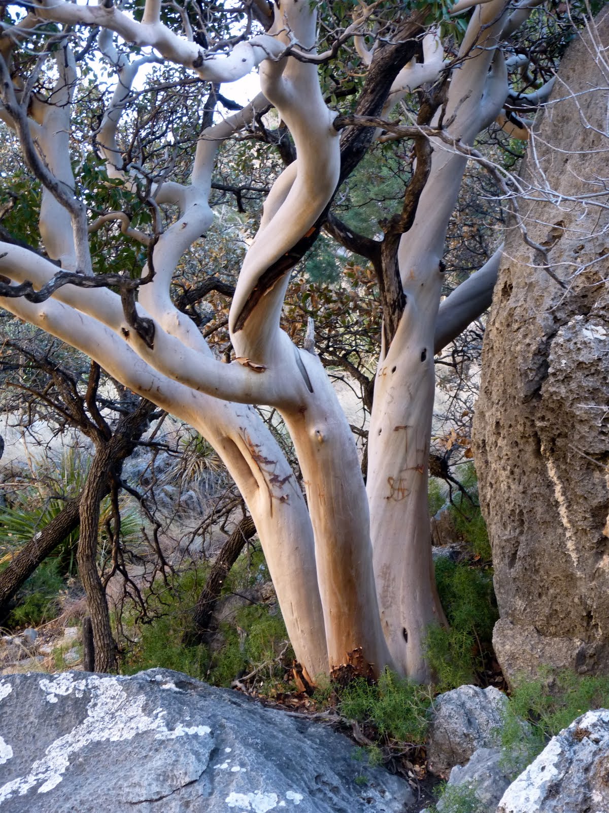 Seetheworld2: February 2011