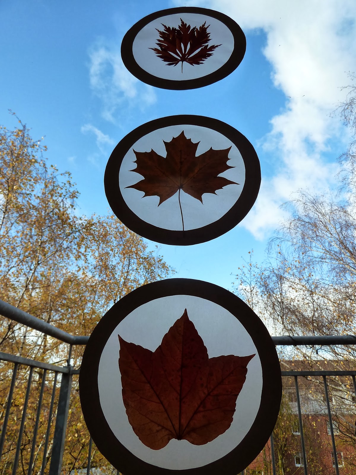 zauberflink: Fensterbild