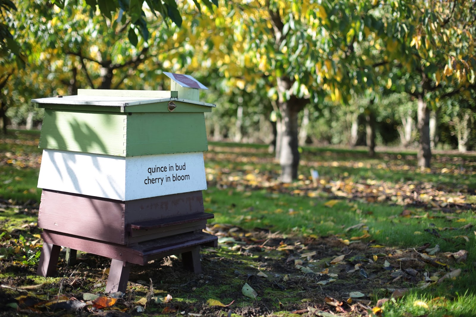 The Bee Bole: The bee library: Brogdale