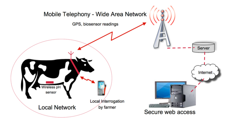 Metode Yang Dipakai Untuk Mendekteksi Birahi Sapi Perah Di Peternakan ...
