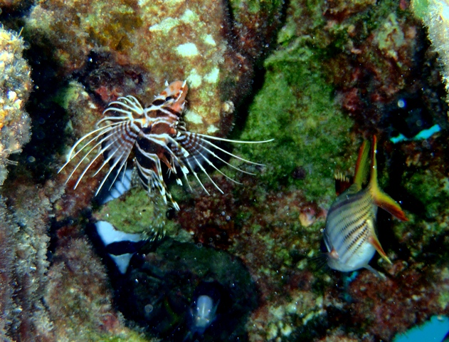 Pete at Midway: More supplies