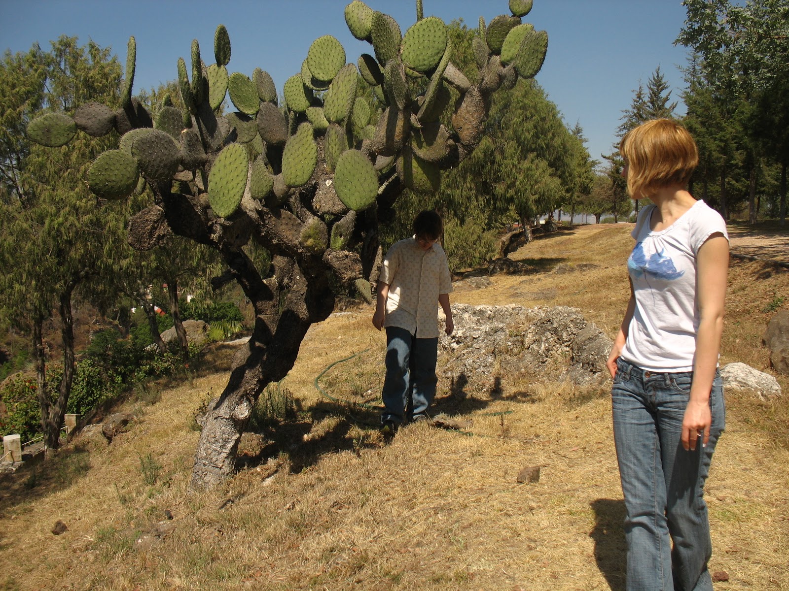 Exquisite Sorts: Basalt, Chicken, & More Pastes