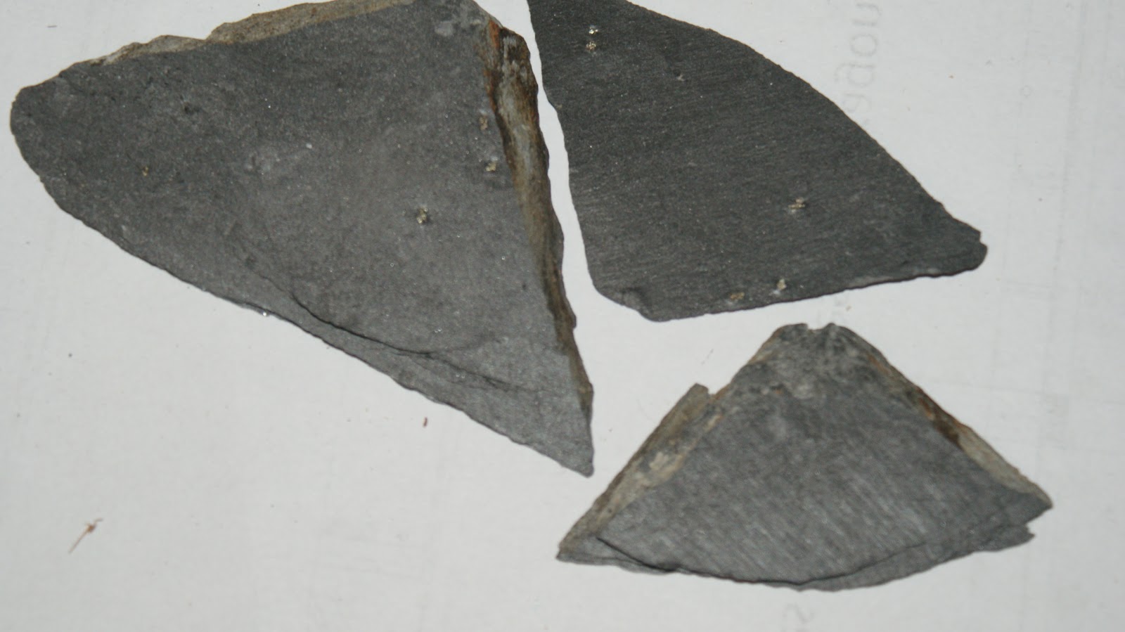 Col·leció de roques: Pissarra