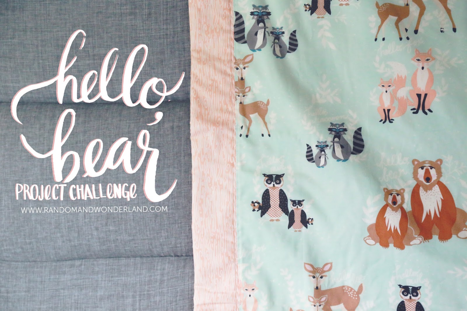 Hello, bear Project Challenge | Random&Wonderland