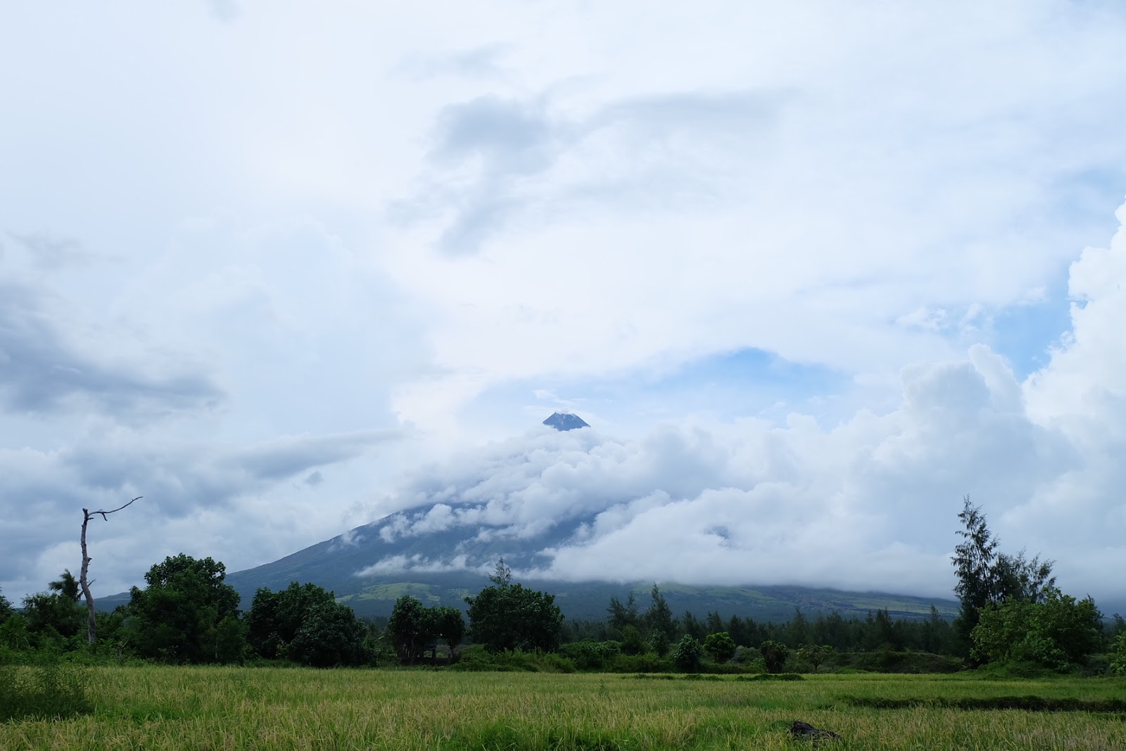 Bulkang Magayon; A Perfect Cone Shape - From The Highest Peak to The ...
