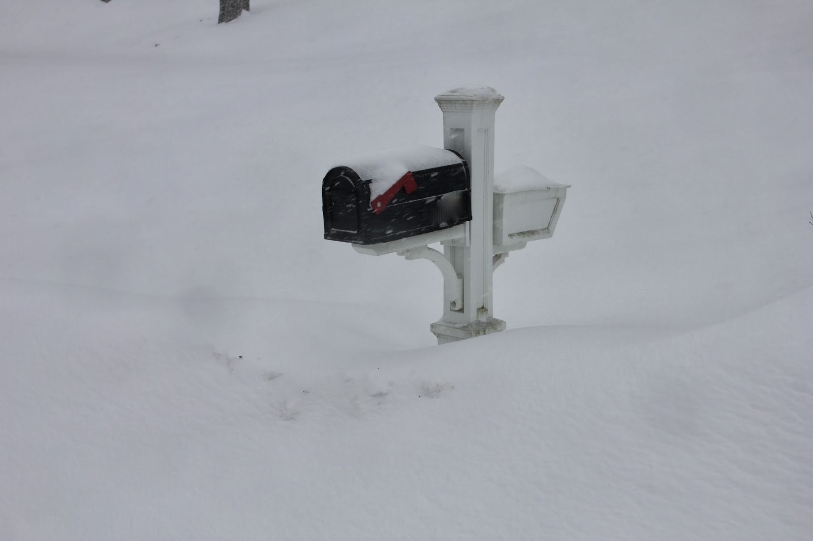 From This Side of the Pond: Variety is the Spice of Life