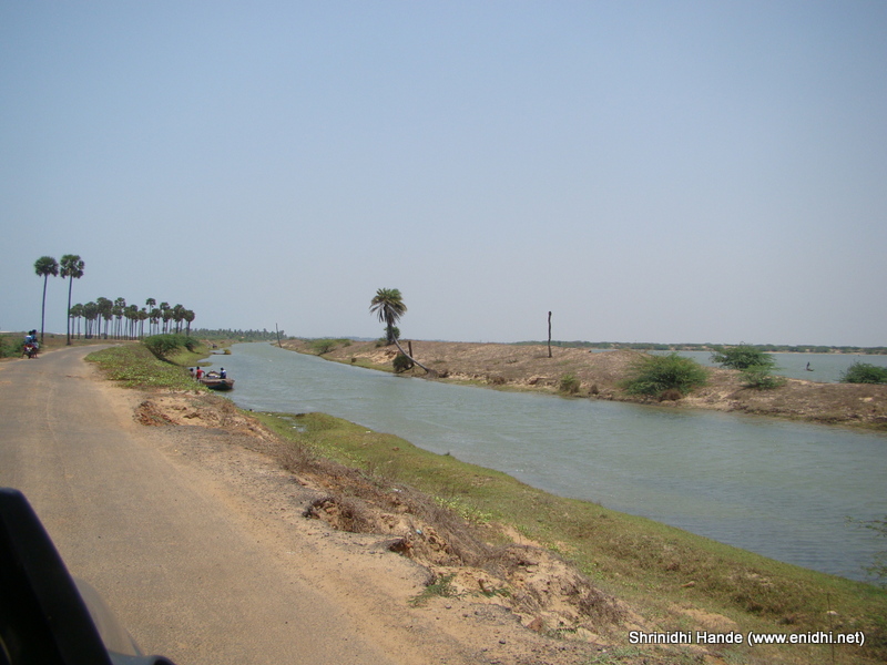 Pulicat lake in AP-TN Border - eNidhi India Travel Blog