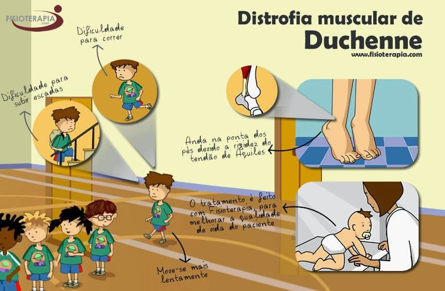 Papo de Fisioterapeuta - Um blog para fisioterapeutas e acadêmicos ...