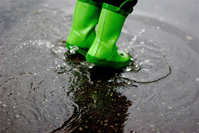 Rain Puddles
