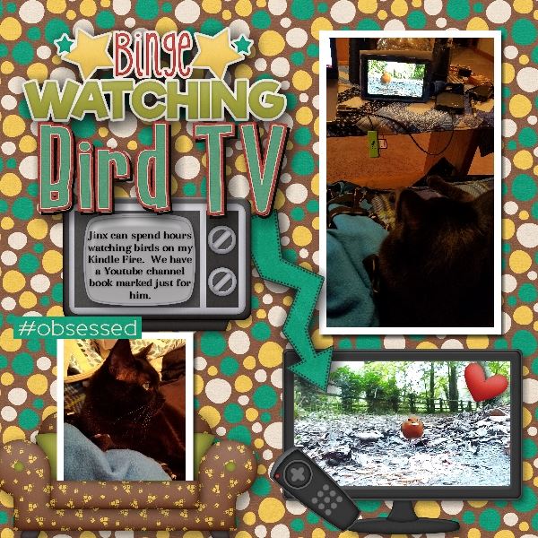 BoomersGirl Designs: "BInge Watching" Digital Kit