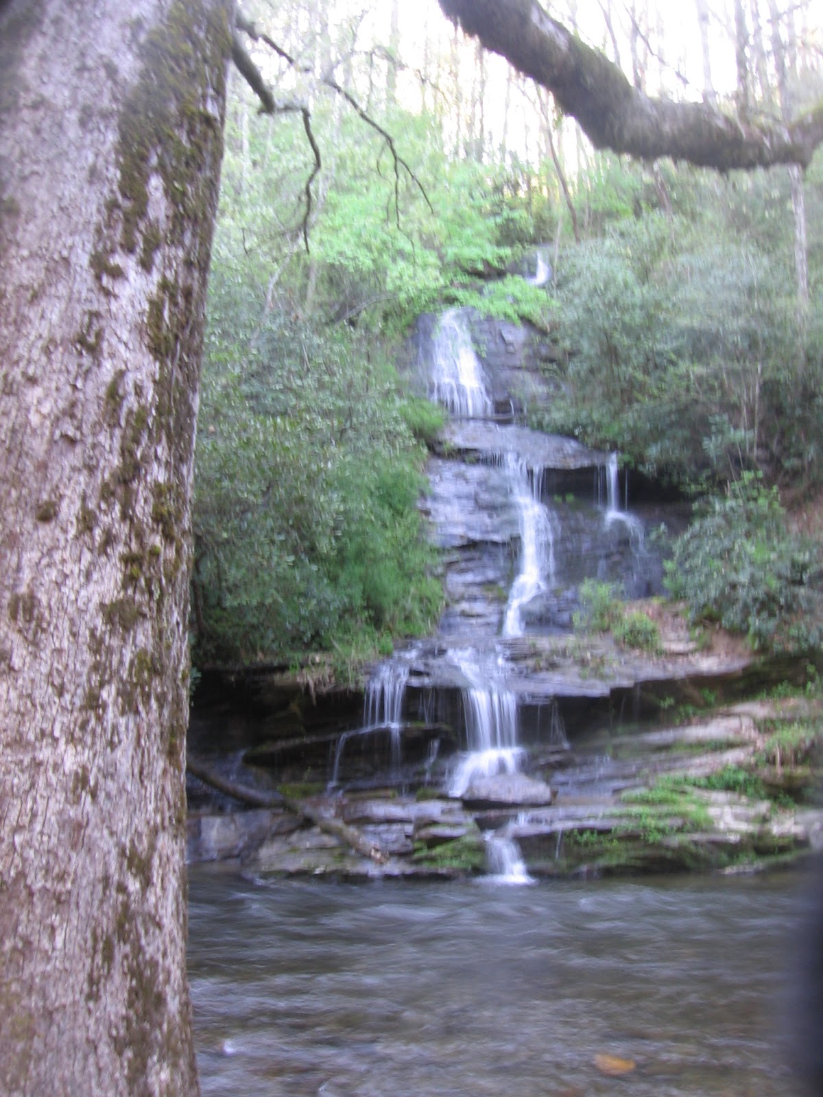 Relaxed Hiking NC: Deep Creek Loop Hike Smokey Mountains 4/7/2012