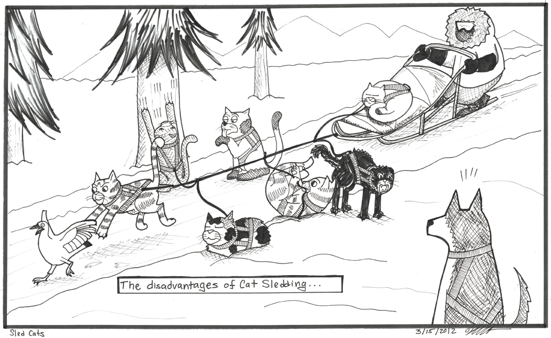 Q DID WHAT? PRV 11/5-11/6-QVC'S BETTER THAN BLACK ... - Blogs & Forums