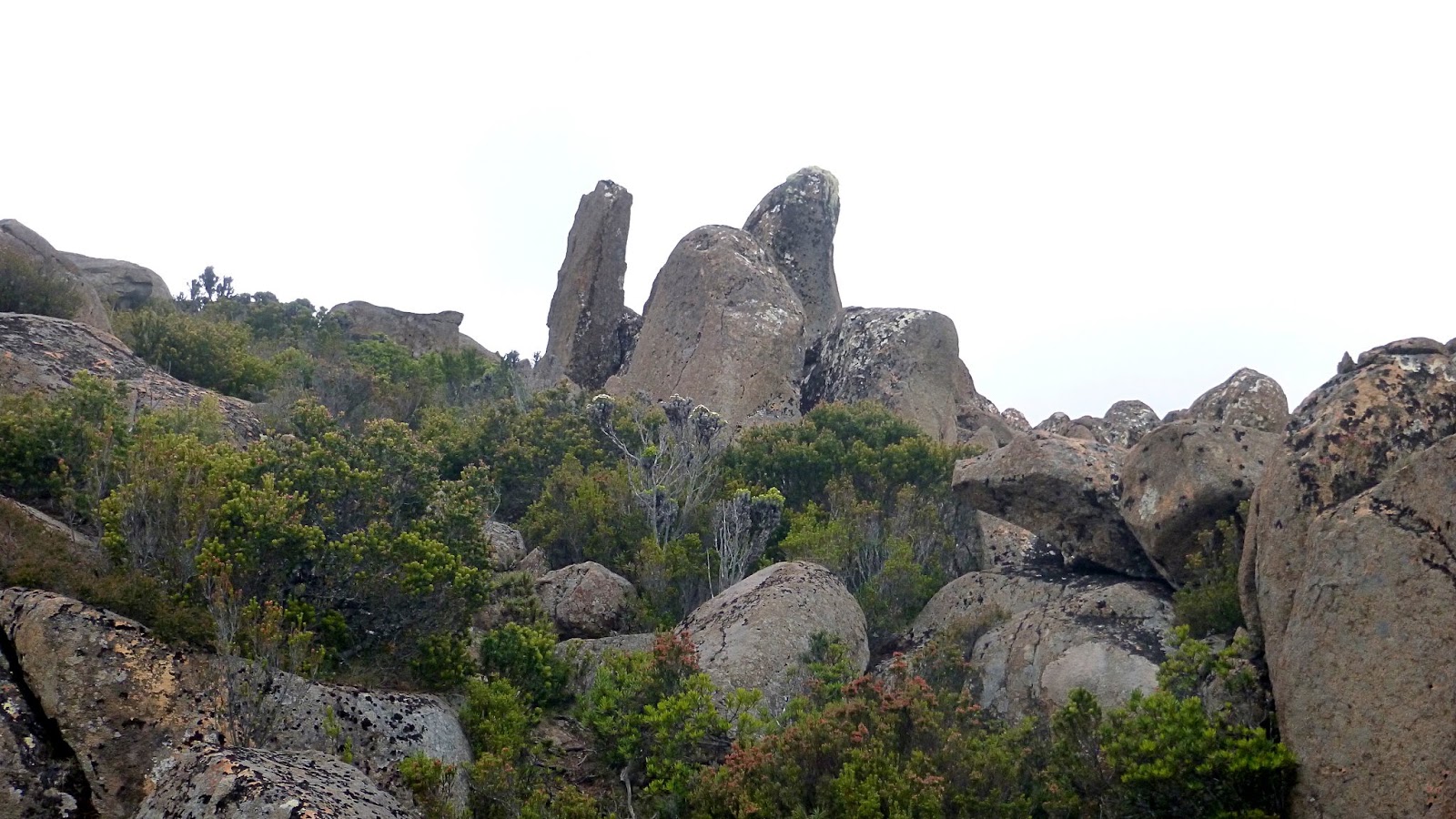 Ramblings: Thark Ridge 2017