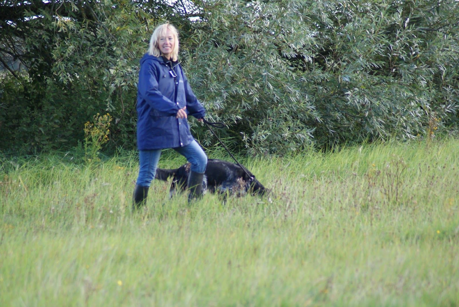 Grote Munsterlander kennel van het Rundediep: KNJV proef Lauwersmeer.