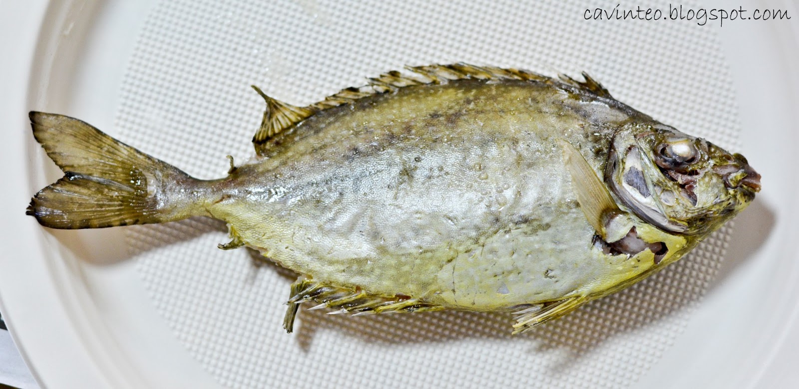 Entree Kibbles: The Fish That's a Must Have for Chinese New Year ...