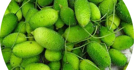 Vantinti Chitkalu: చేదునిజం: కాకరకాయల్లో ఆకాకరకాయ రుచి వేరయా.. | Small ...