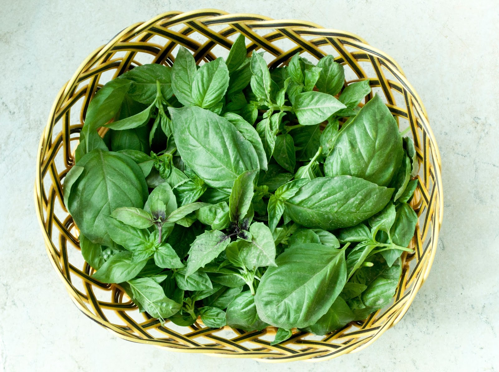 Naomi's Garden: January 2013