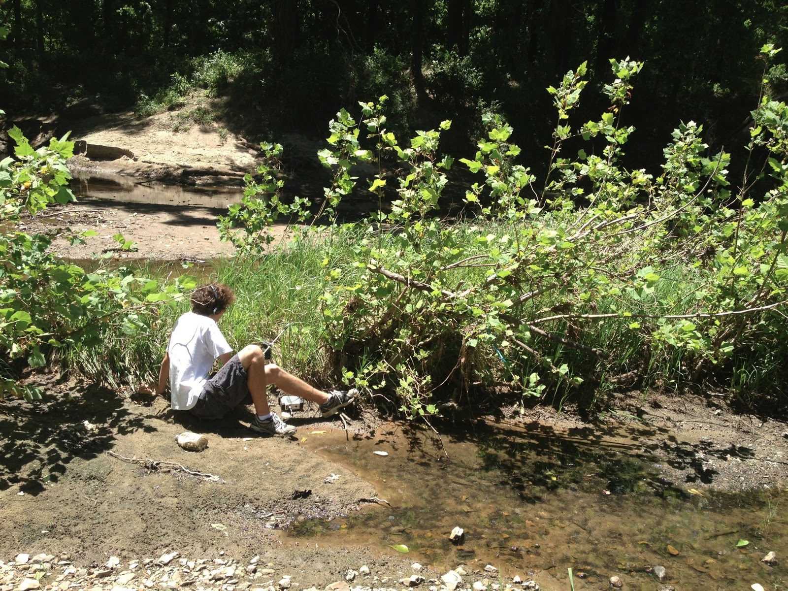 Missouri Historian, Micah Fletcher: Eavesdropping on a Silent Symphony