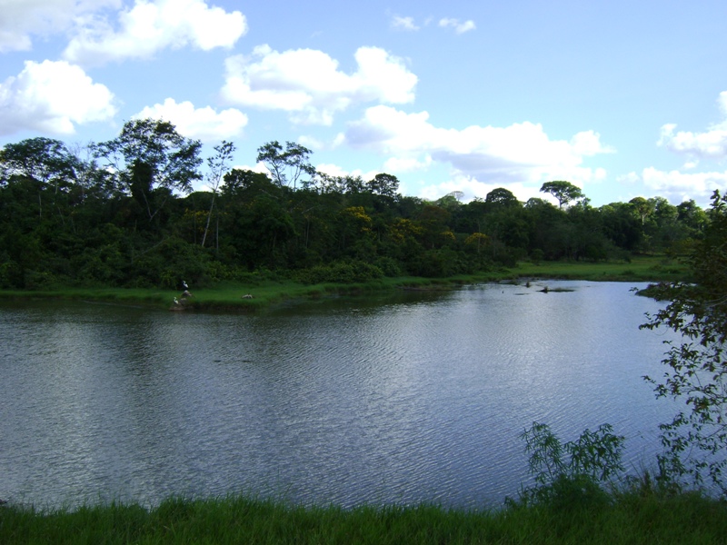 ALTA FLORESTA e MT: Lagoa ao lado da Avenida do Aeroporto