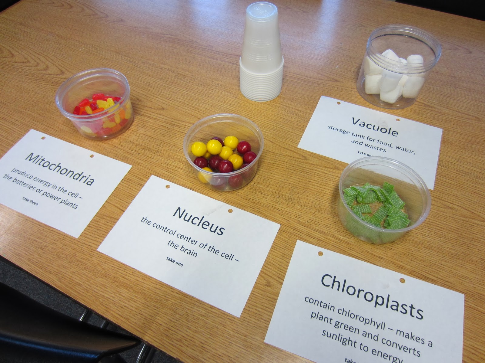 Ordinary Days: Jello Cells